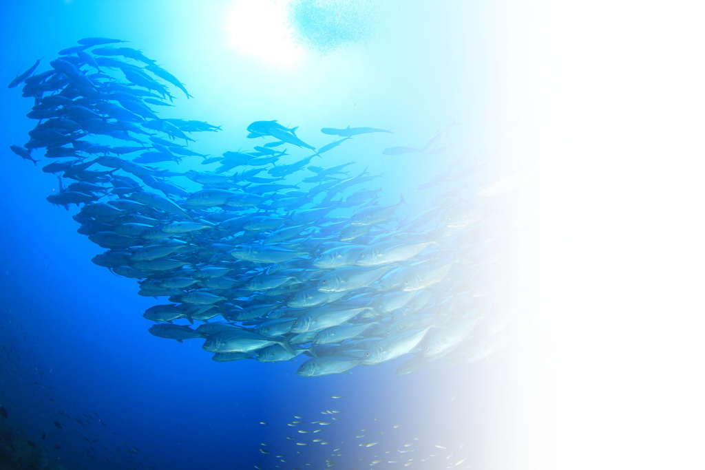 Robert Rothenberg - Harbourfront Wealth Management